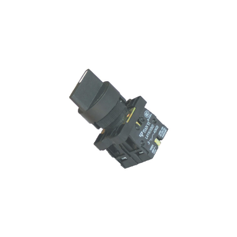 2 Position Illuminated Selector Switch - Stay Put - JIGO
